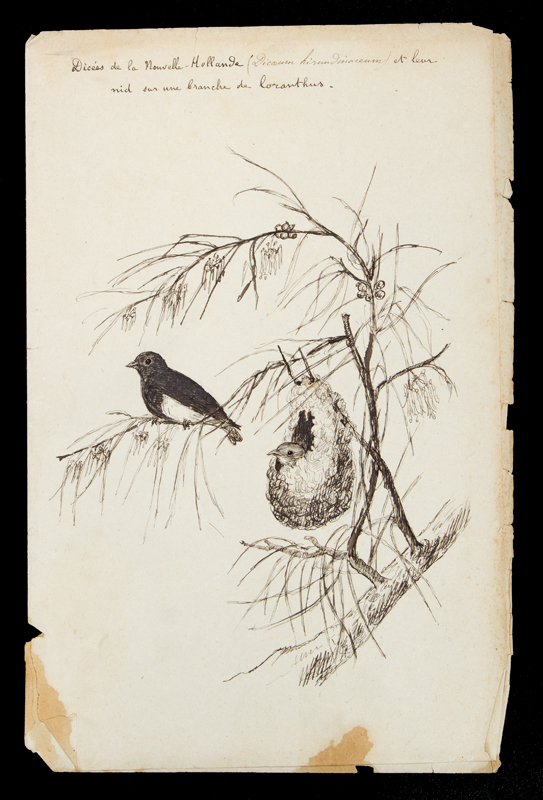 2016_DSFB_3474 - Douglas Stewart Fine Books