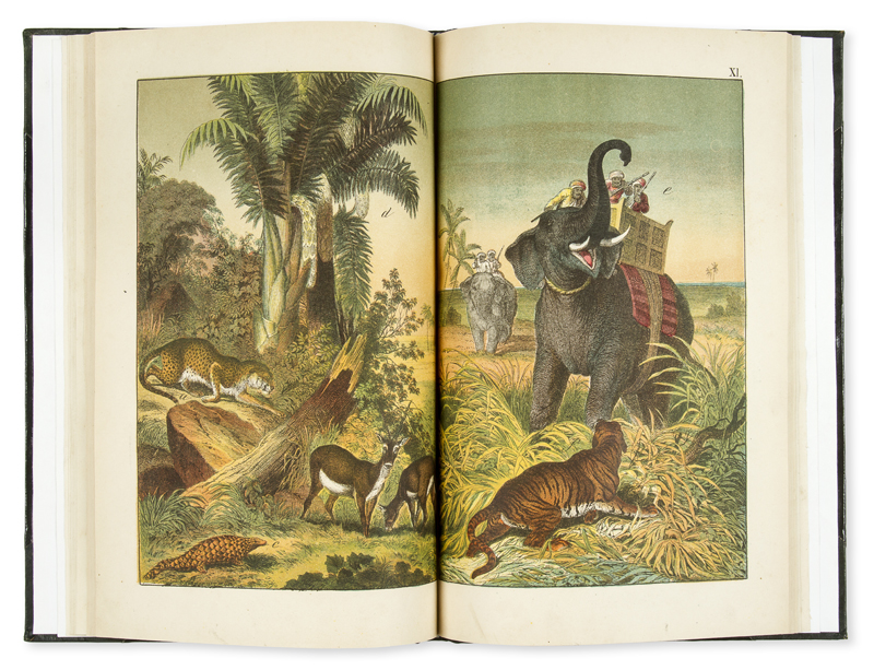 2015_DSFB_3747 - Douglas Stewart Fine Books