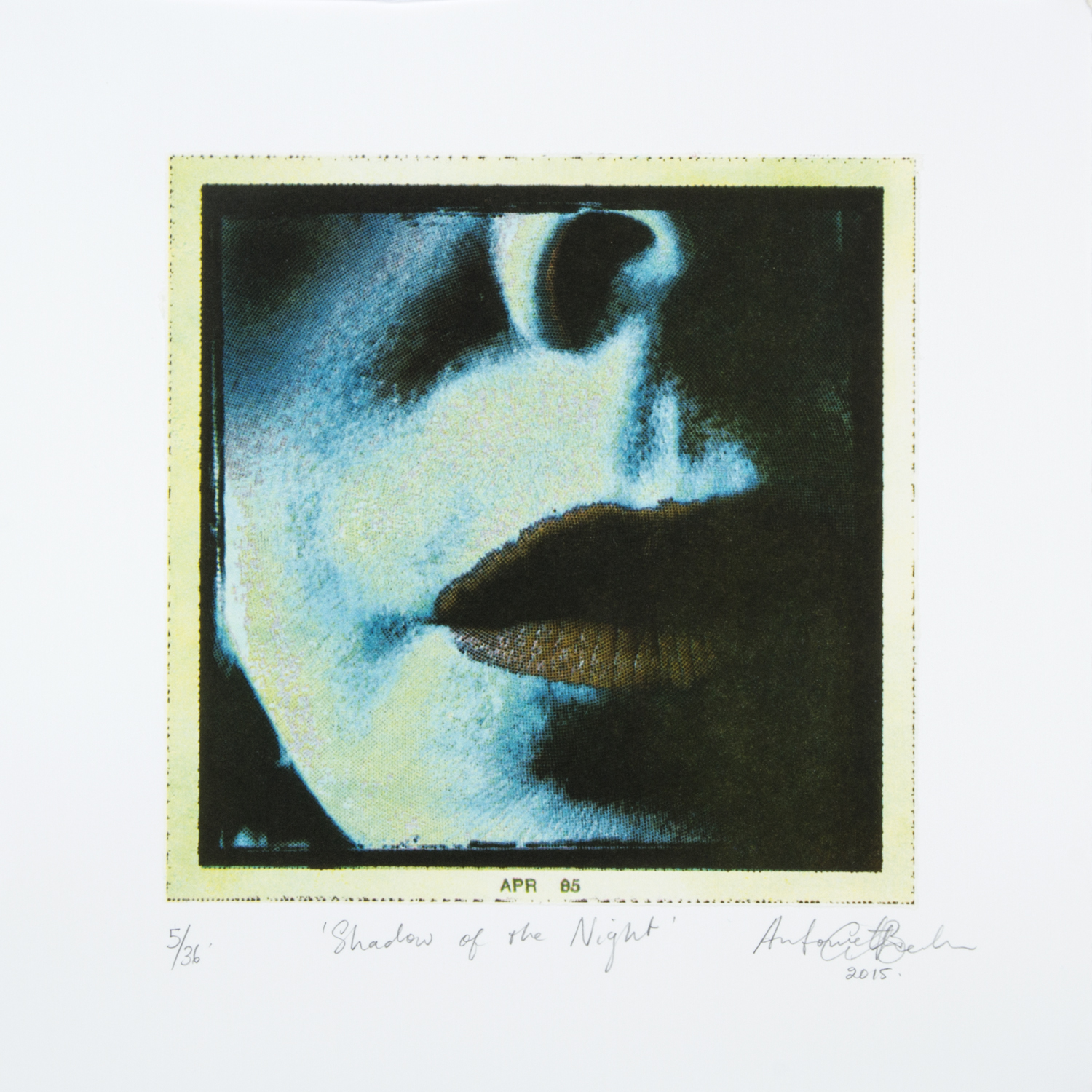 Parallel Prints 2015 - Douglas Stewart Fine Books