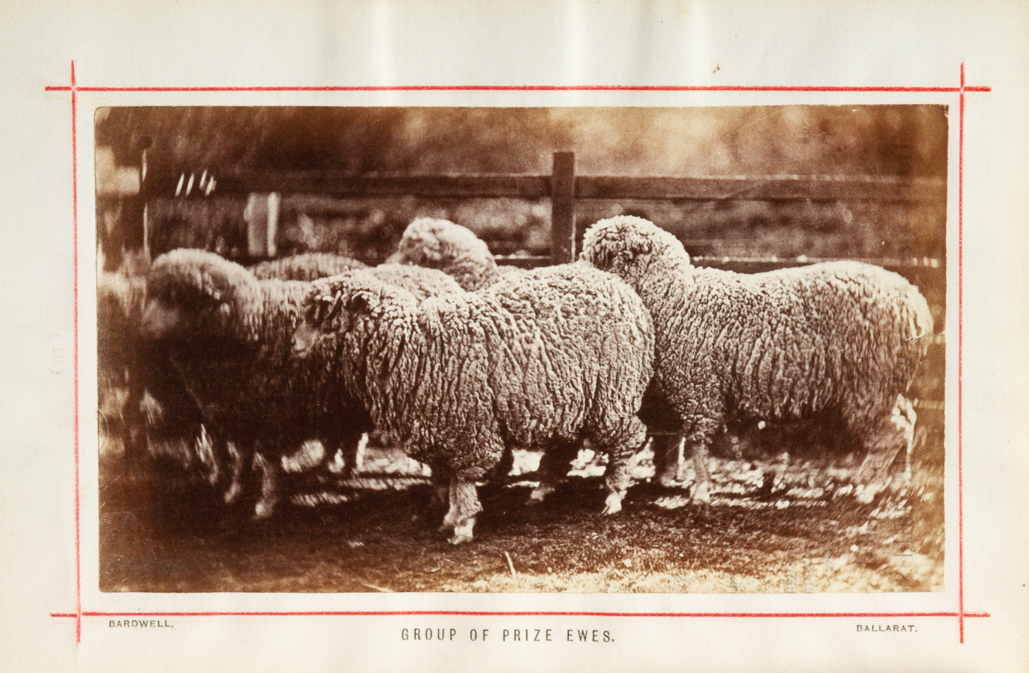 Catalogue of Sir Samuel Wilson's pure merino ewes and rams to be sold ...